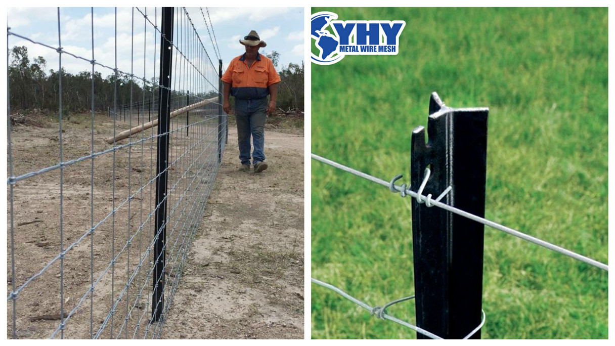 Durable and long service life 1.86kg/m 1.35m long star picket for farm ...