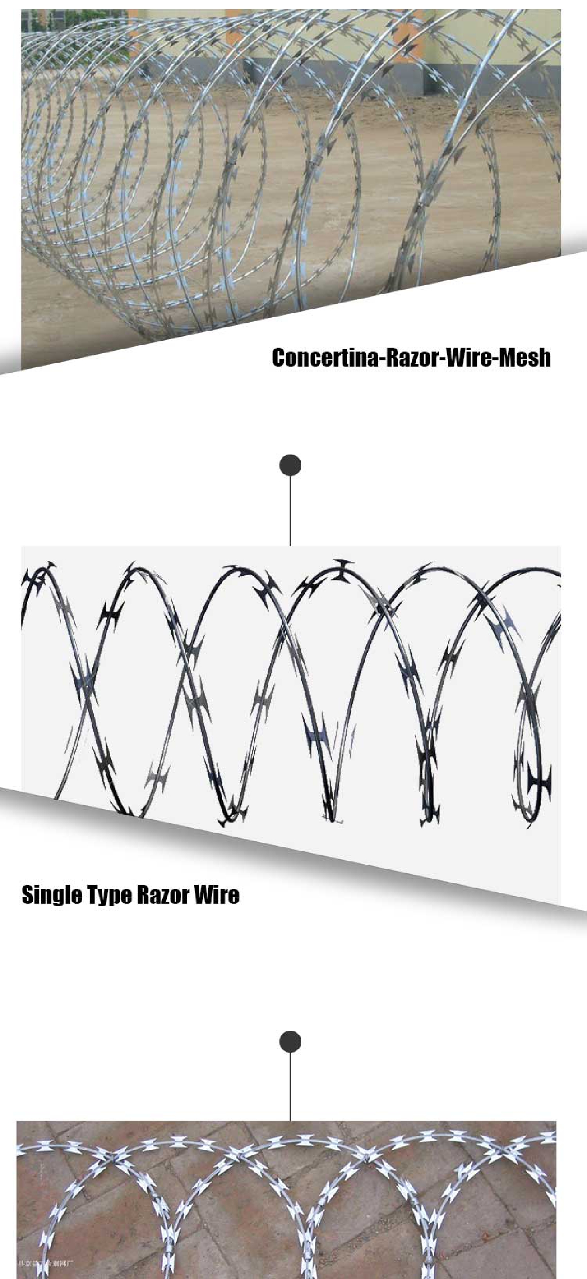 Galvanized Razor Wire-Concertina Type-Wire Mesh Fencing - Razor Wire ...