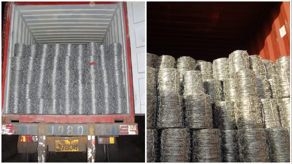 Razorblade sharp barbed wire hot-dipped galvanized 100m long barb wire ...