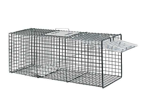 Chicken rabbit dog wire netting mesh 60cm tall 50m roll - Chicken Cage ...
